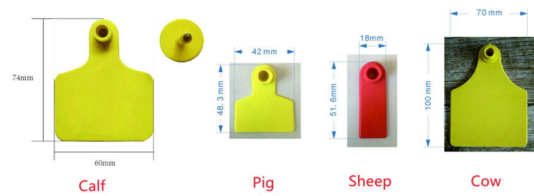 How Many Types of Ear Tag - Okiismart